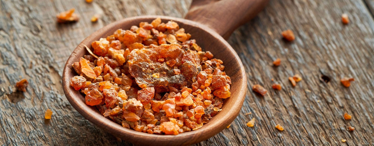 Comment utiliser la résine d'encens Oliban ? | REAL AND ROOTS